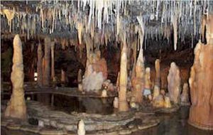 Buchan Caves Reserve – Buchan Community Website